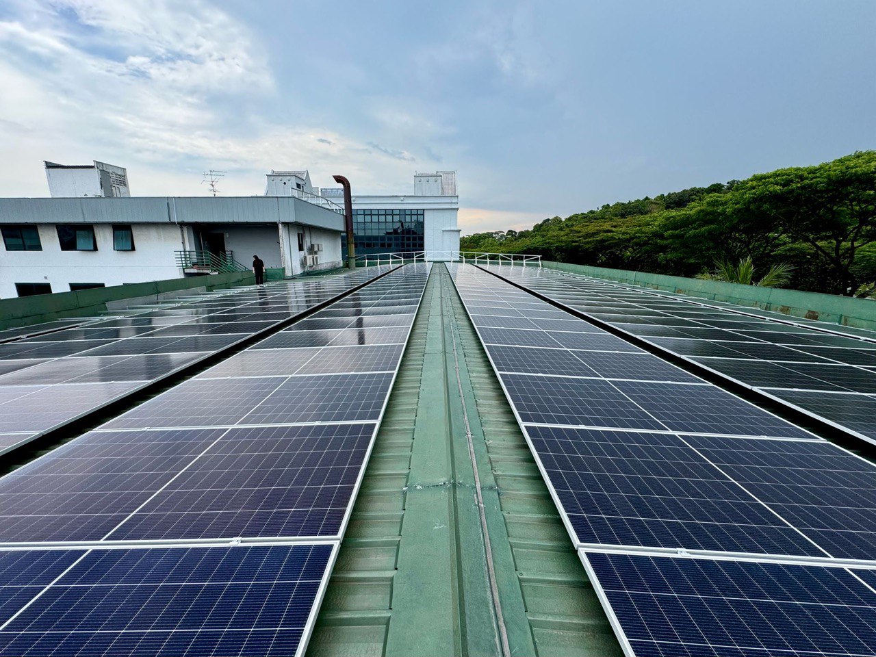 Moving Trisome Towards a Greener Future: A Step Closer to ...